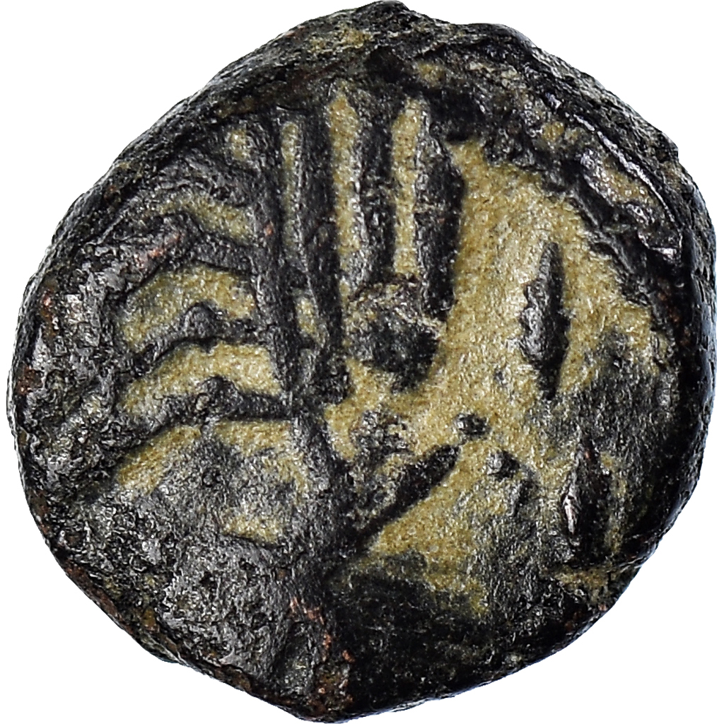 Coin, Africa, Vandals, Thrasamund, Nummus, 496-523, Carthage, , Copper