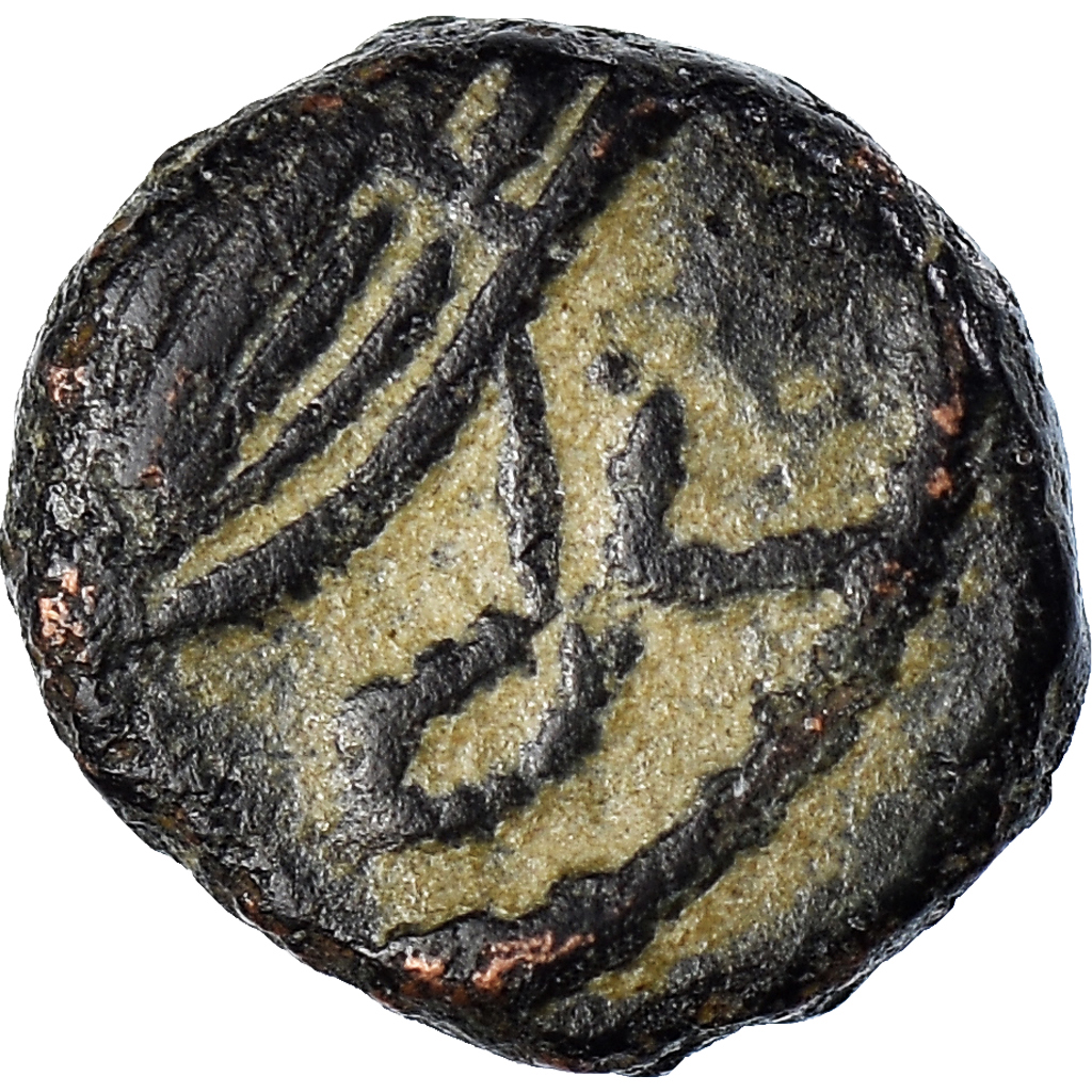 Coin, Africa, Vandals, Thrasamund, Nummus, 496-523, Carthage, , Copper