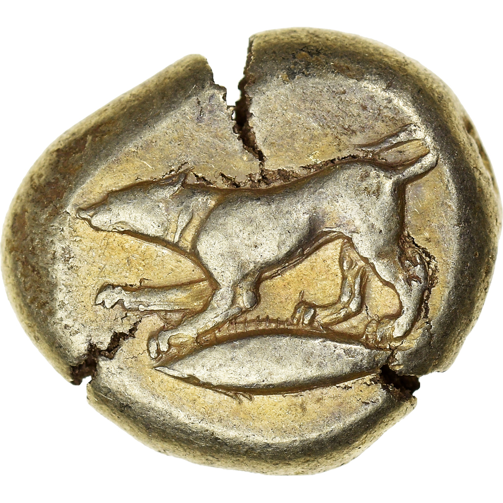 Mysia, Stater, c. 550-475 BC, Kyzikos, Electrum, , SNG-vonAulock:1192