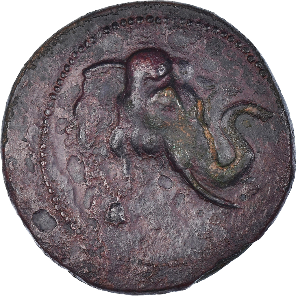 Coin, Baktrian Kingdom, Demetrios I, Bronze Æ, 200-185 BC, Baktra,