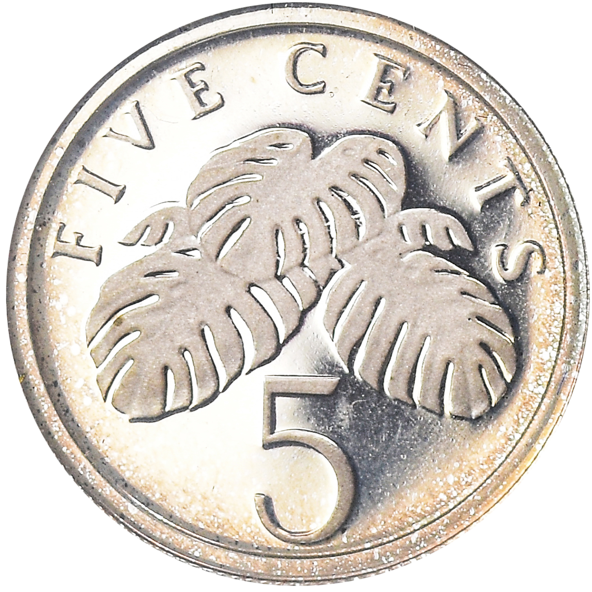 Coin, Singapore, 5 Cents, 1988, Singapore Mint, BE, , Silver, KM:50a
