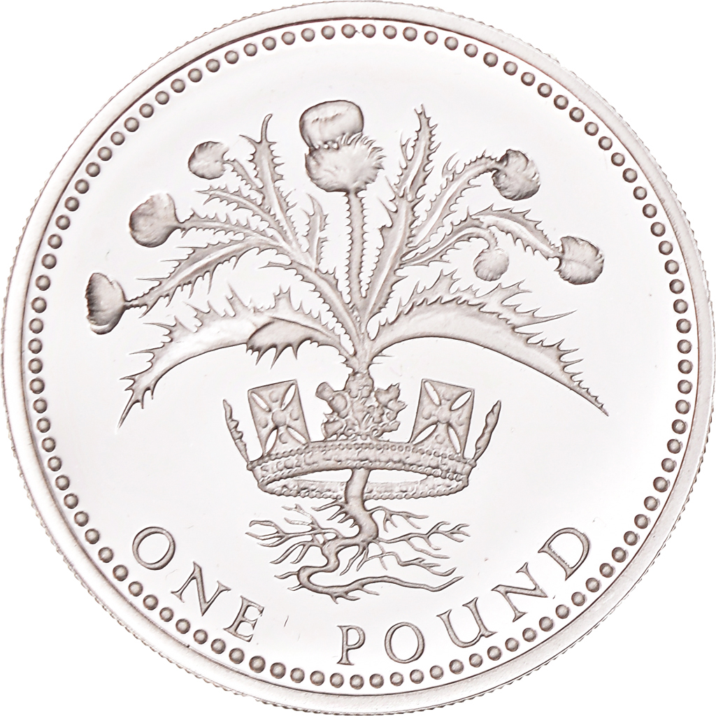 Coin, Great Britain, Elizabeth II, Pound, 1989, British Royal Mint,