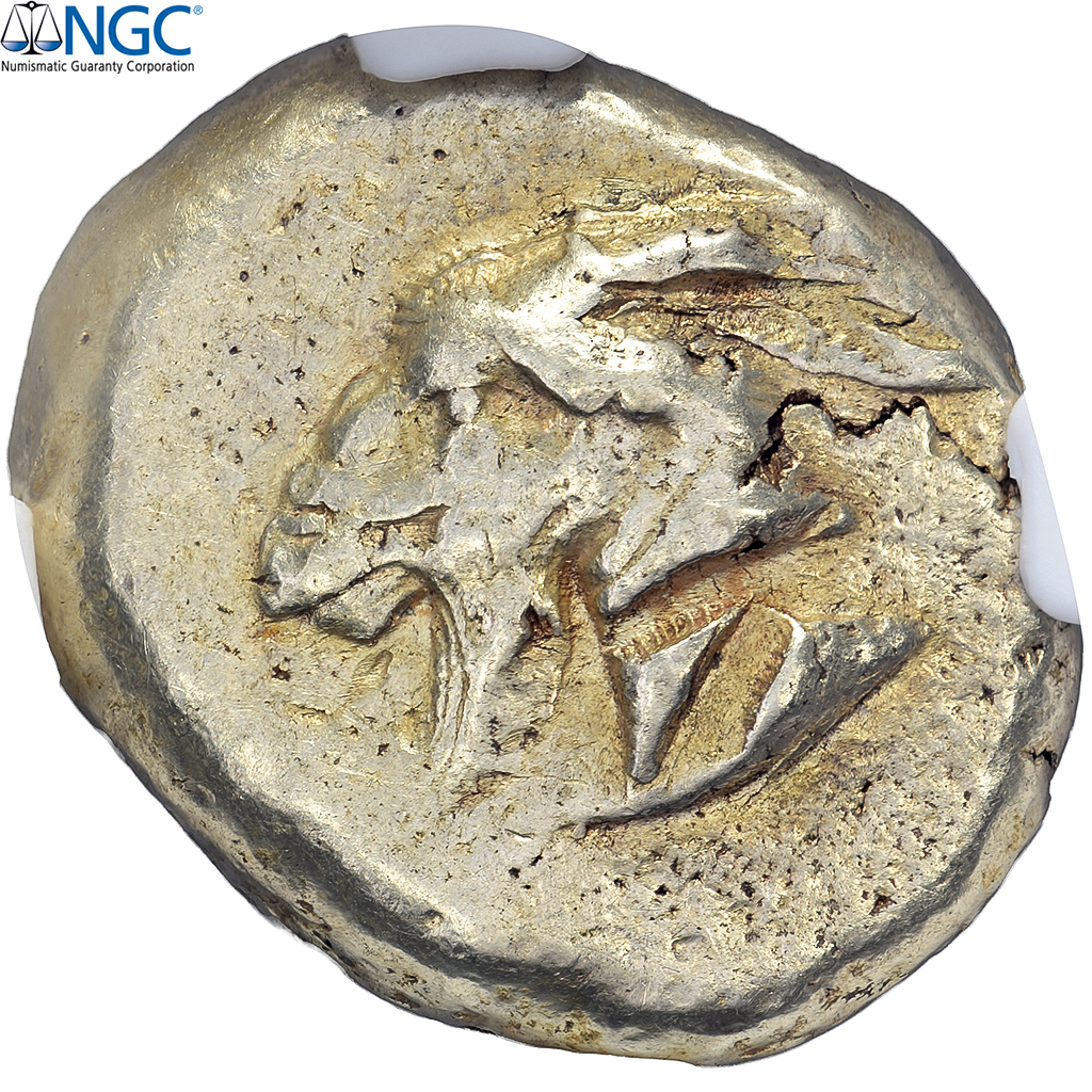 Mysia, Stater, ca. 550-450 BC, Kyzikos, Electrum, NGC, | Greek Coins