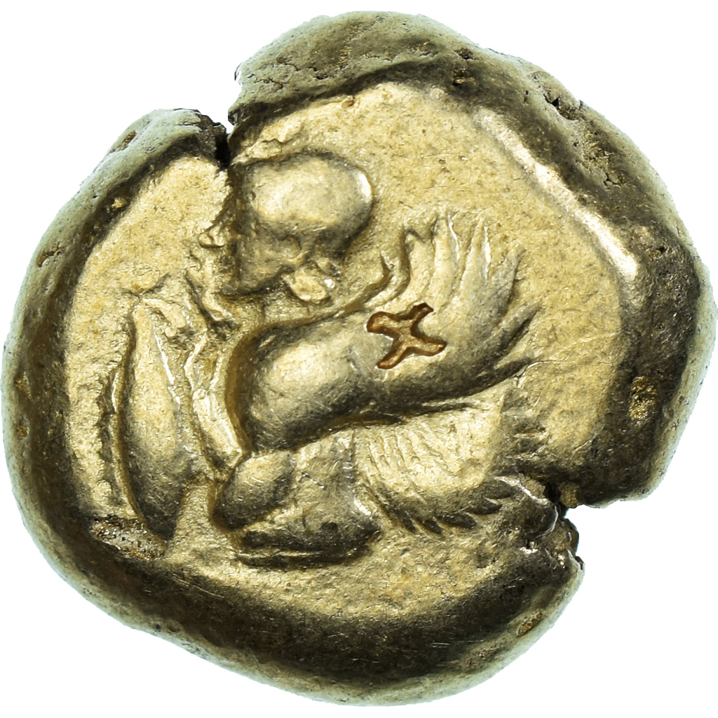 Mysia, Stater, ca. 550-450 BC, Kyzikos, Electrum, , SNG-France:205