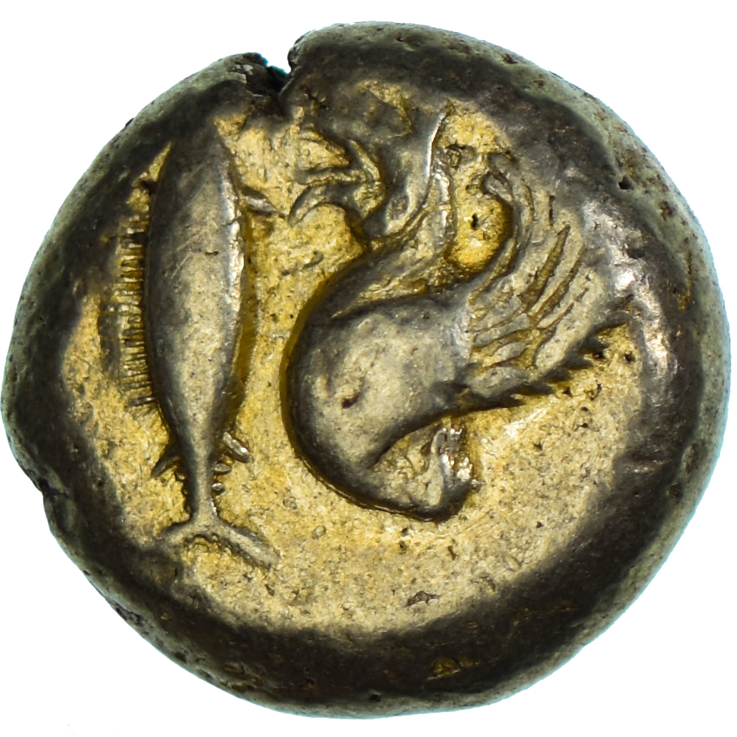 Mysia, Stater, ca. 550-450 BC, Kyzikos, Electrum, , SNG-vonAulock:1181