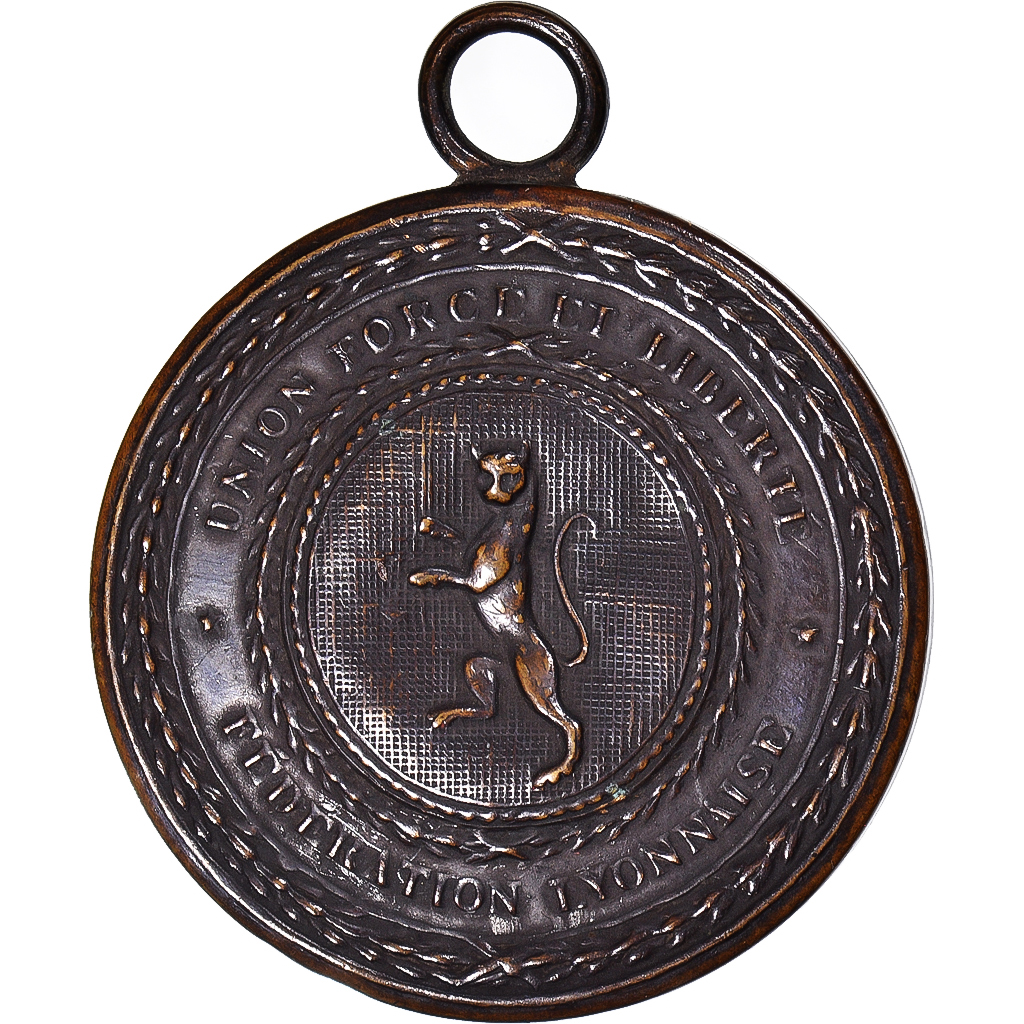 France, Medal, Lyon, Fédération Lyonnaise, History, 1790, , Bronze