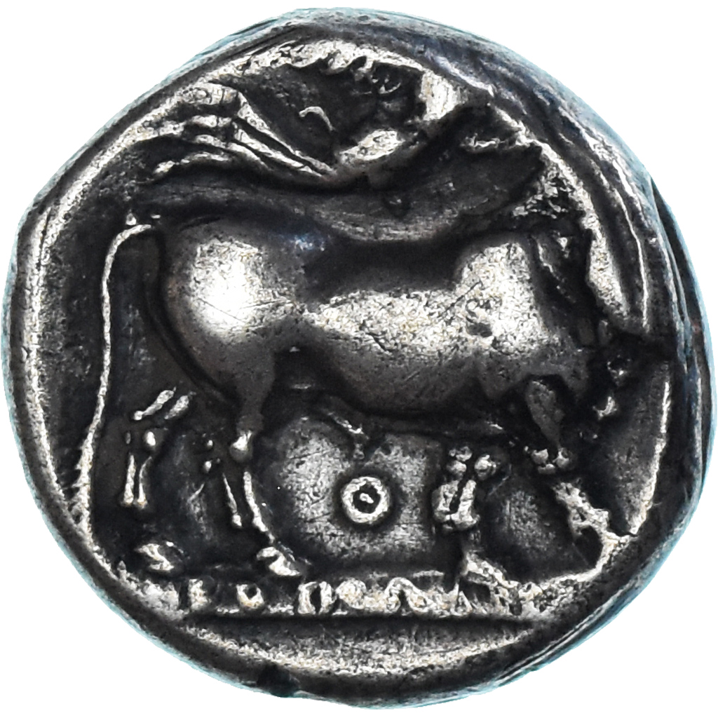 Coin, Campania, Didrachm, ca. 340-317 BC, Neapolis, , Silver | Greek Coins