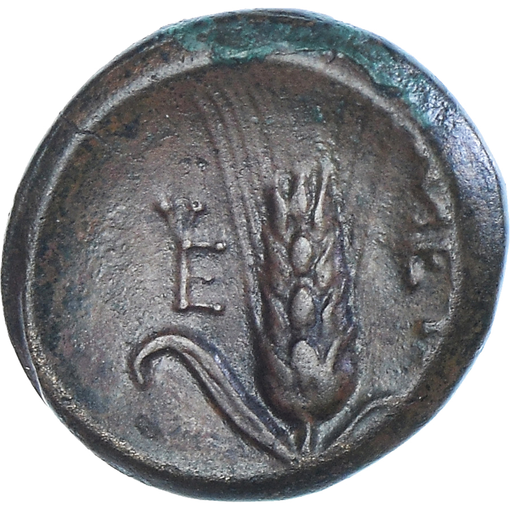 Coin, Lucania, Æ, ca. 300-250 BC, Metapontion, , Bronze, HN Italy:1693
