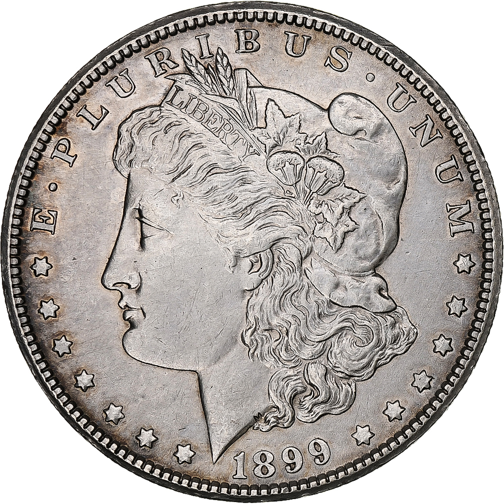 United States, Dollar, Morgan, 1899, New Orleans, Silver, , KM:110