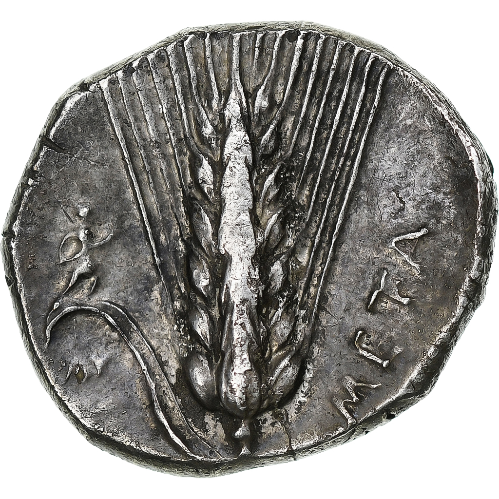 Lucania, Nomos, ca. 330-290 BC, Metapontum, Silver, , HGC:1-1063