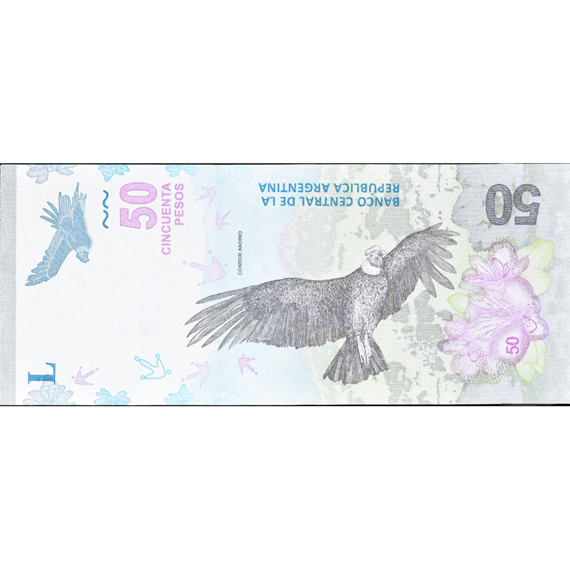 Banknote, Argentina, 50 Pesos, UNC(65-70) | World Paper Money