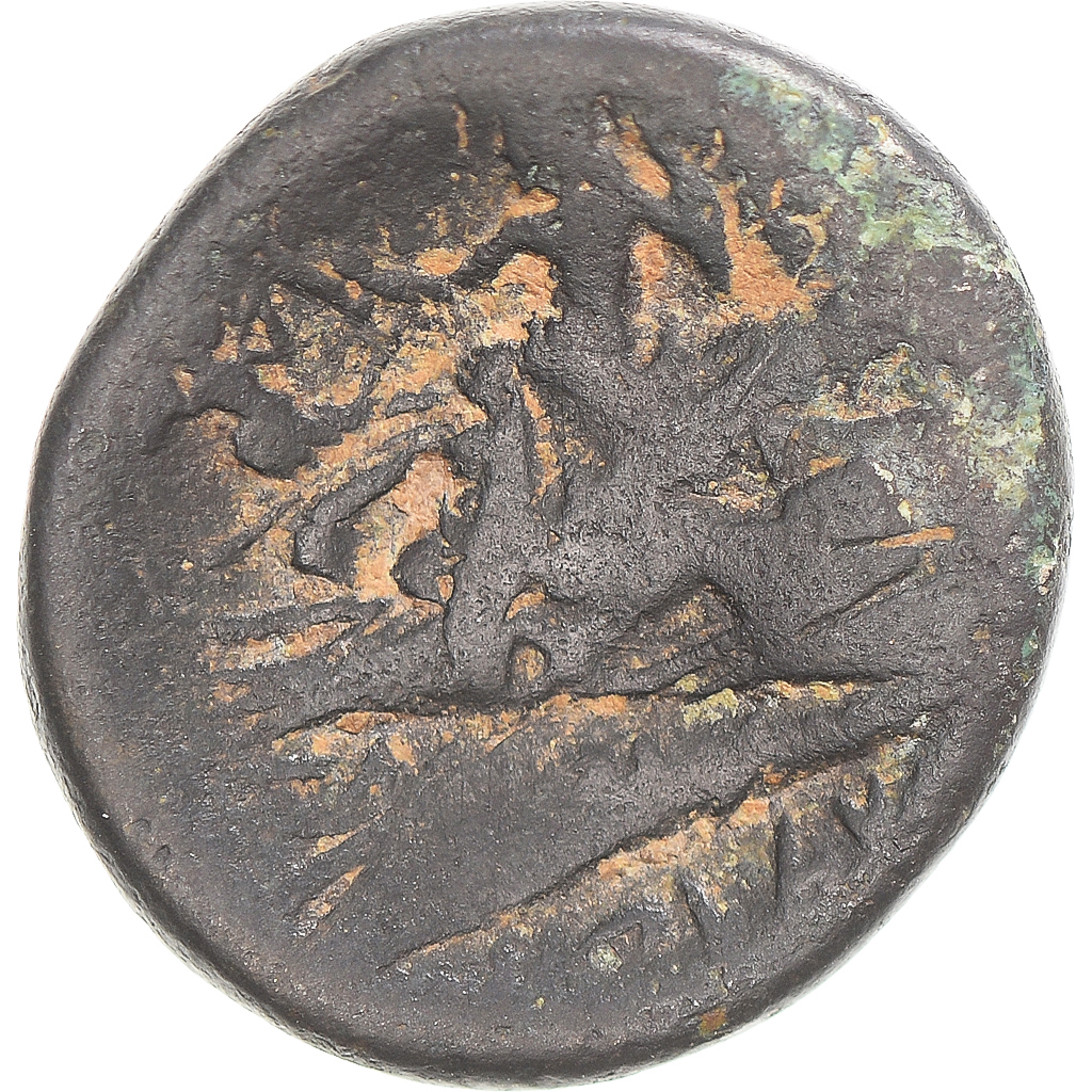 Coin, Phoenicia, Æ, 2nd-1st century BC, Arados, , Bronze | Greek Coins