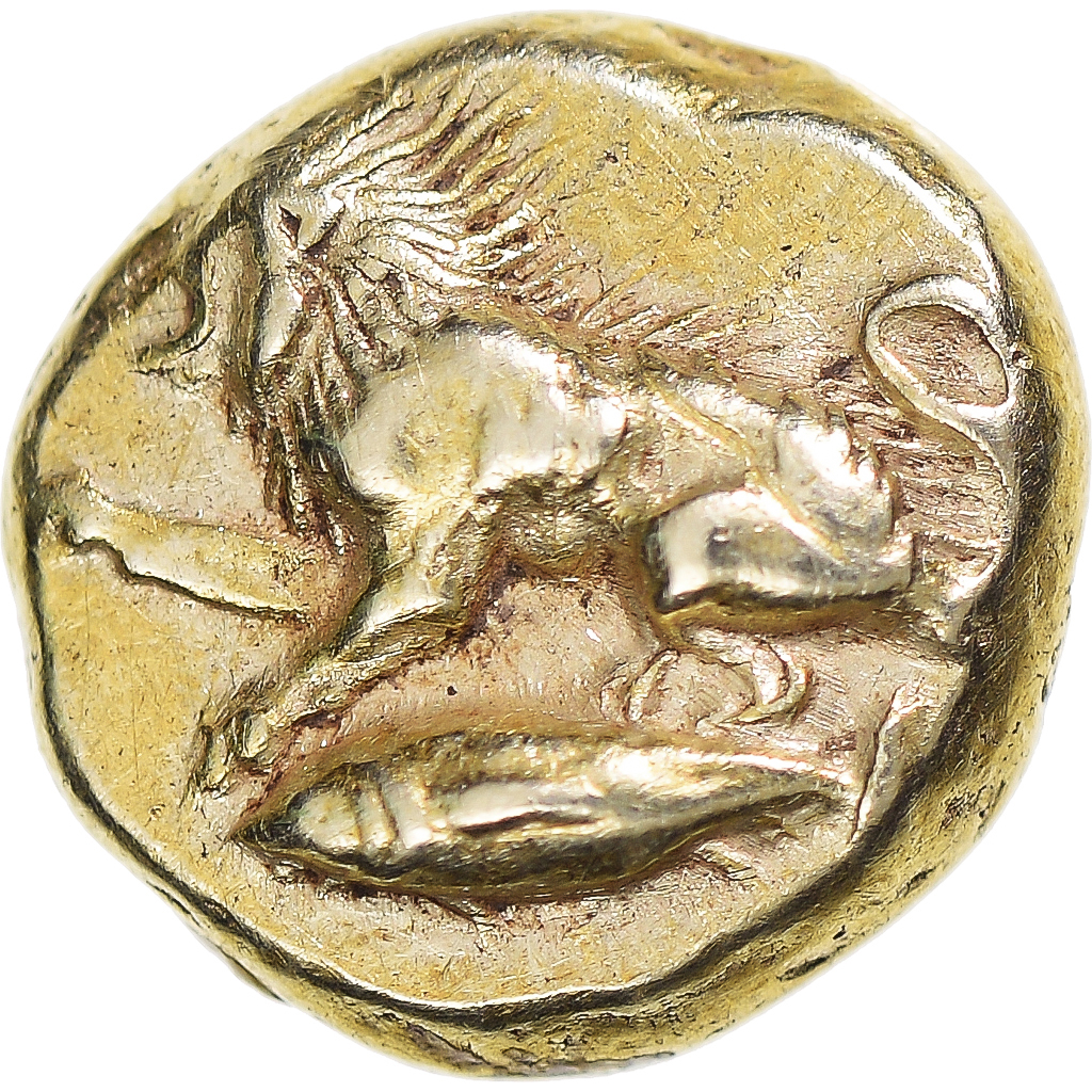 Coin, Mysia, Hekte, ca. 550-450 BC, Kyzikos, , Electrum | Greek Coins