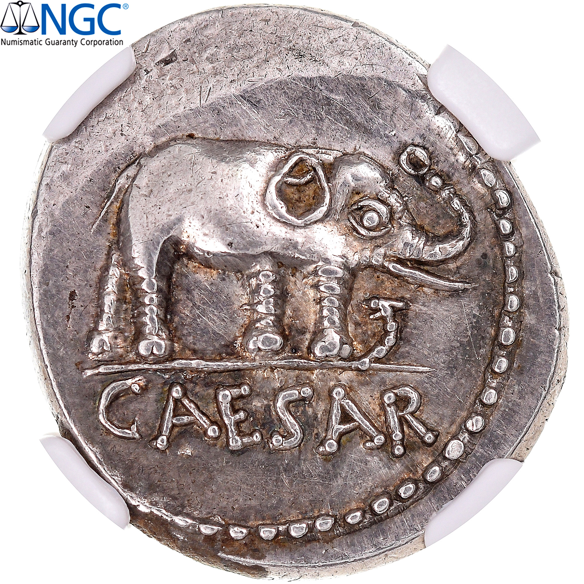 Coin, Julius Caesar, Denarius, 49-48 BC, Military mint, graded, NGC,