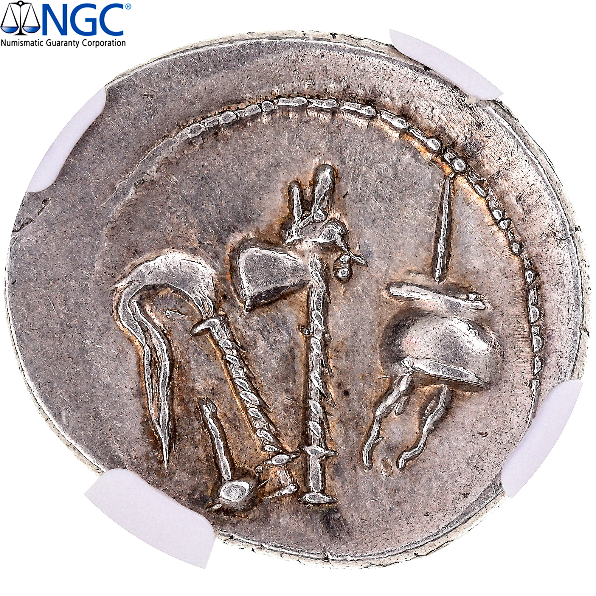 Coin, Julius Caesar, Denarius, 49-48 BC, Military mint, graded, NGC,