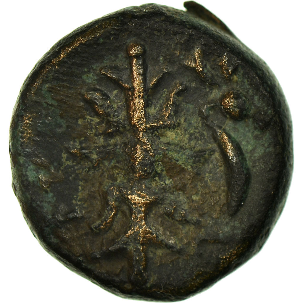 Coin, Pisidie, Selge, Bronze, , Bronze, BMC:47, SNG Cop:263 | Greek Coins