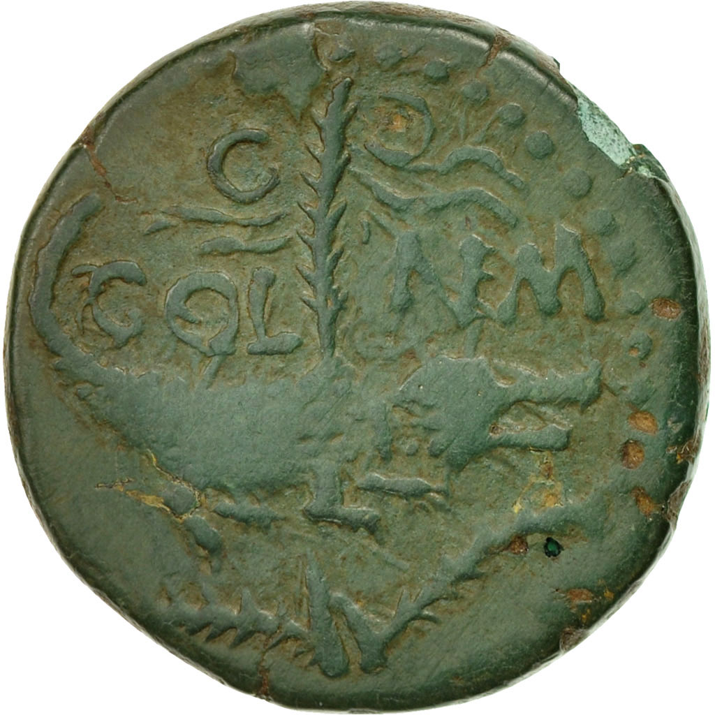 Augustus & Agrippa, As, 20-10 BC, Nemausus, Bronze, , RIC:157
