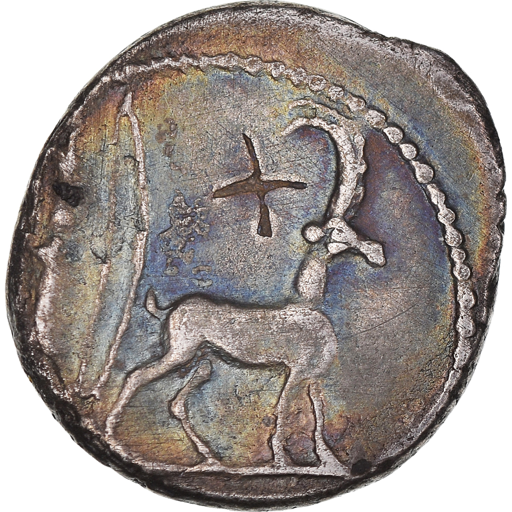 Coin, Ancient Rome, Roman Republic (509 – 27 BC), Gens Plancia, Cnæus