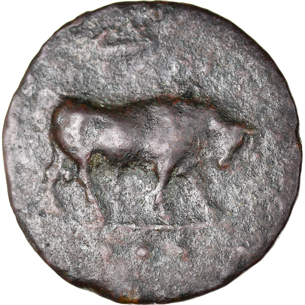 Coin, Sicily, Gela, Tetras, 420-405 BC, , Bronze, SNG ANS:112