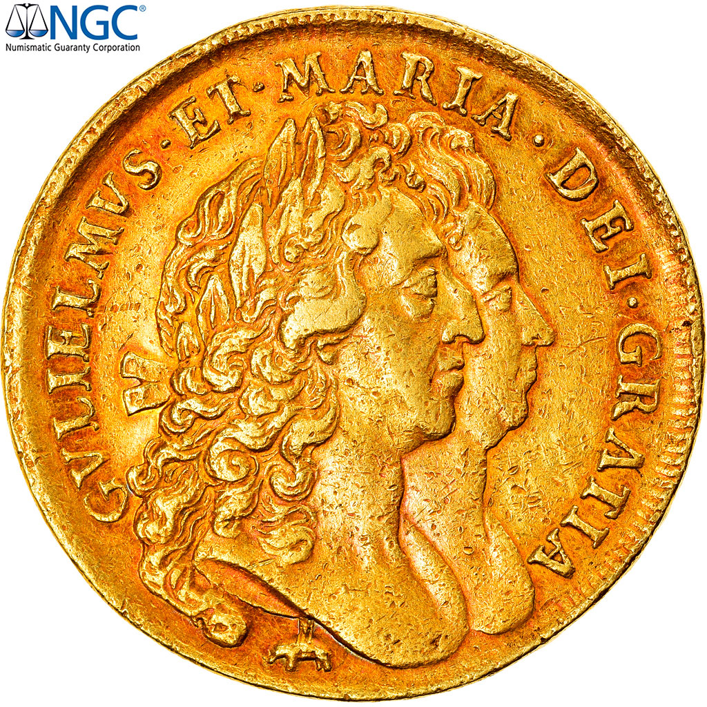 Great Britain, William and Mary, 5 Guineas, 1691, London, Eléphant ...