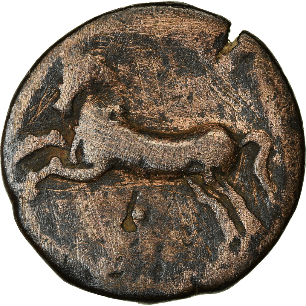 Coin, Numidia (Kingdom of), Bronze Æ, 148-118 BC, , Bronze | Greek Coins