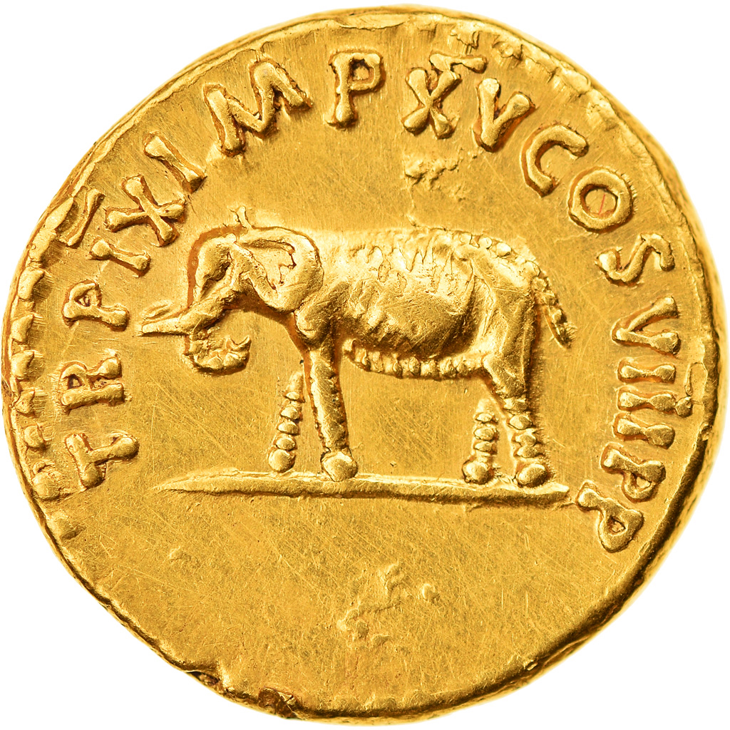 Titus, Aureus, 80, Rome, Gold, NGC, , RIC:114 | Roman Imperial Coins