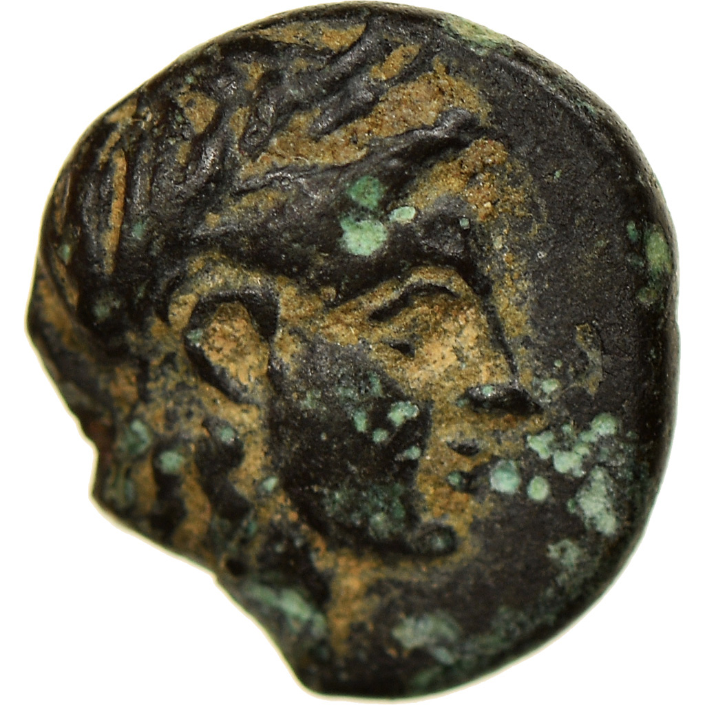 Coin, Troas, Gargara, Bronze Æ, 4th century BC, , Bronze | Greek Coins